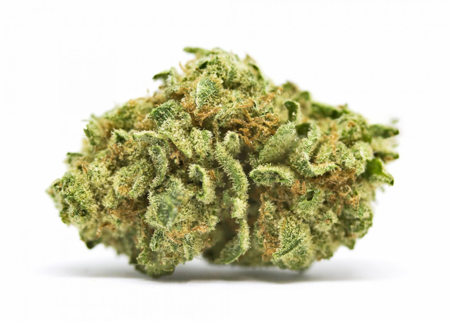 How Long Before Buds Appear? Cannabis Plants' Weekly Guide