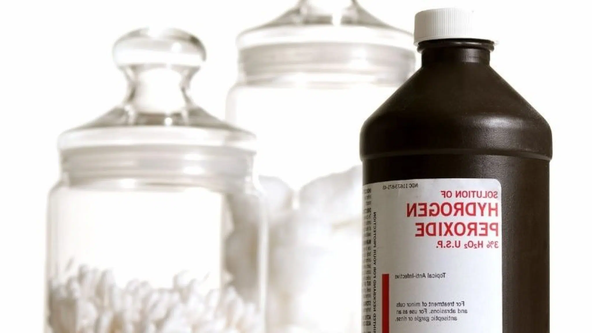 Hydrogen Peroxide For Fungus Gnats Say Good Bye To Flies