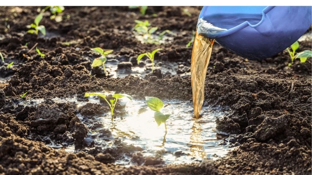 Dyna gro foliage pro review | Is it the perfect fertilizer?